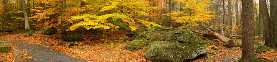 Photos – Wild Ones Fox Valley Area Chapter