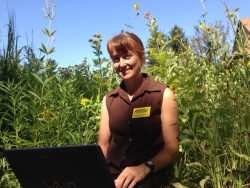 Wild Ones Fox Valley Area Chapter – Healing the Earth one yard at a time.