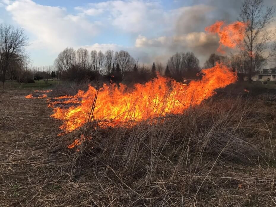 Help Videos – Wild Ones Fox Valley Area Chapter