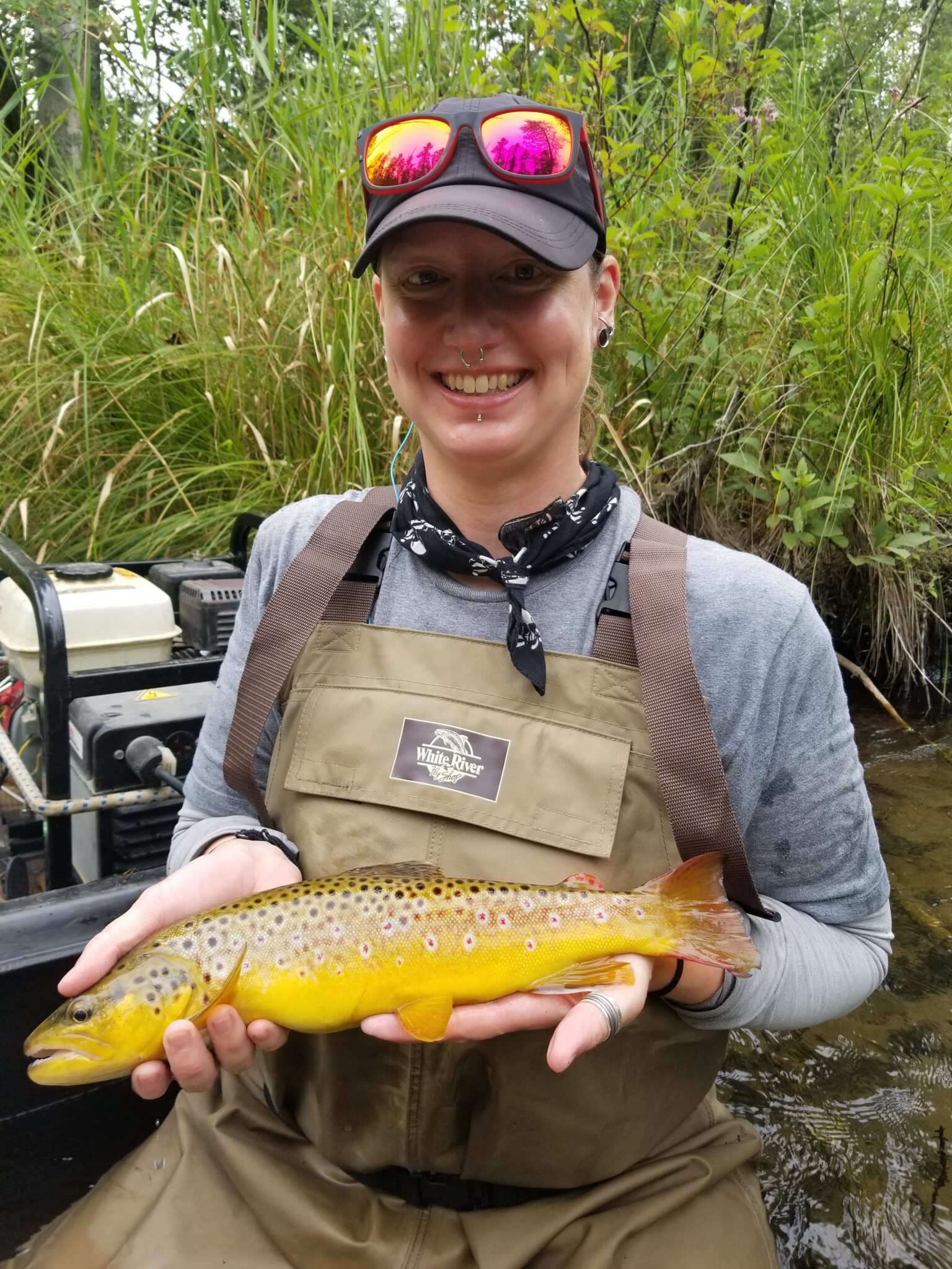 Wild Ones Fox Valley Area Chapter – Healing the Earth one yard at a time.